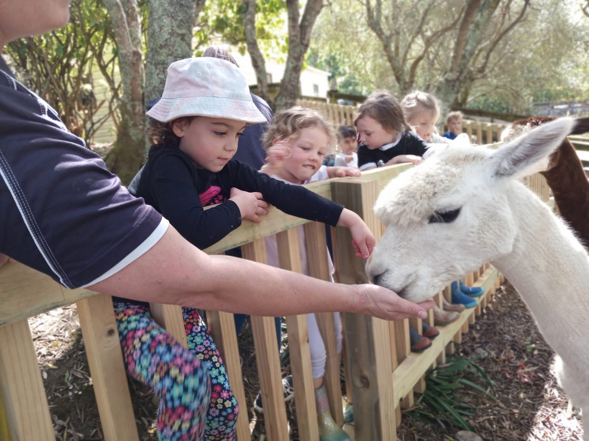 Whitford Early Learning Centre - Quality Childcare Auckland | ECE ...